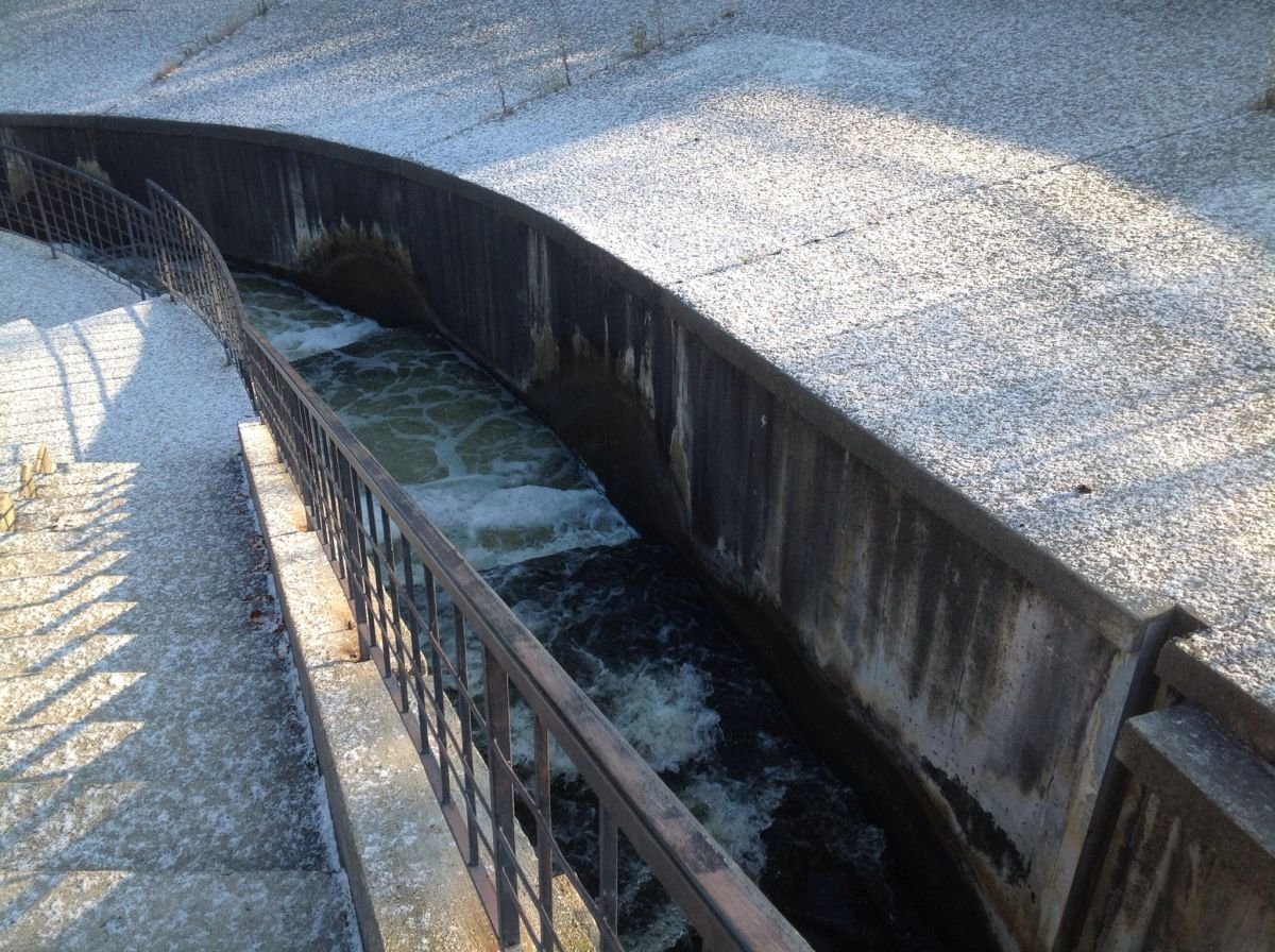 Brenke Fish Ladder In Lansing Michigan