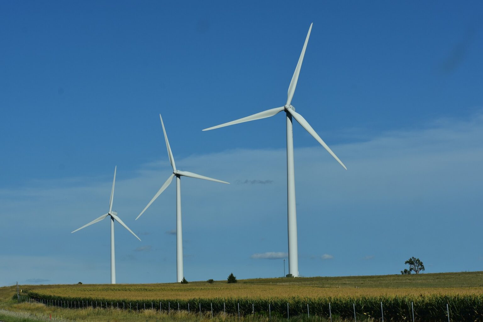 Detroit Zoo To Get 100% Michigan Renewable Energy