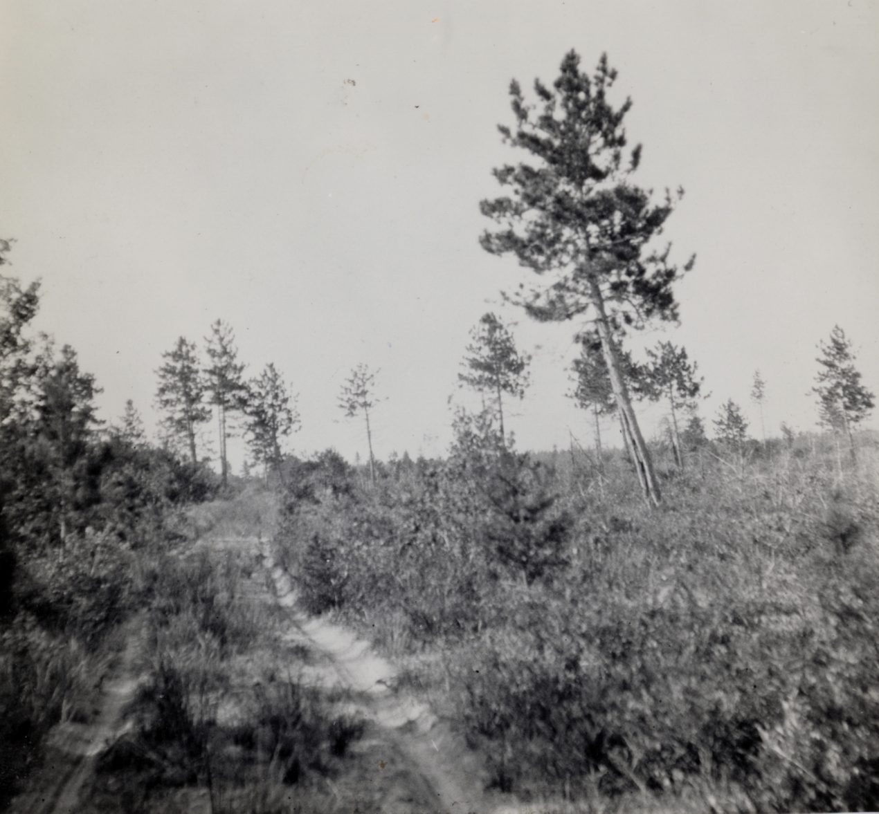 Michigan Genealogy - 10 Million Records Available To Family Tree ...