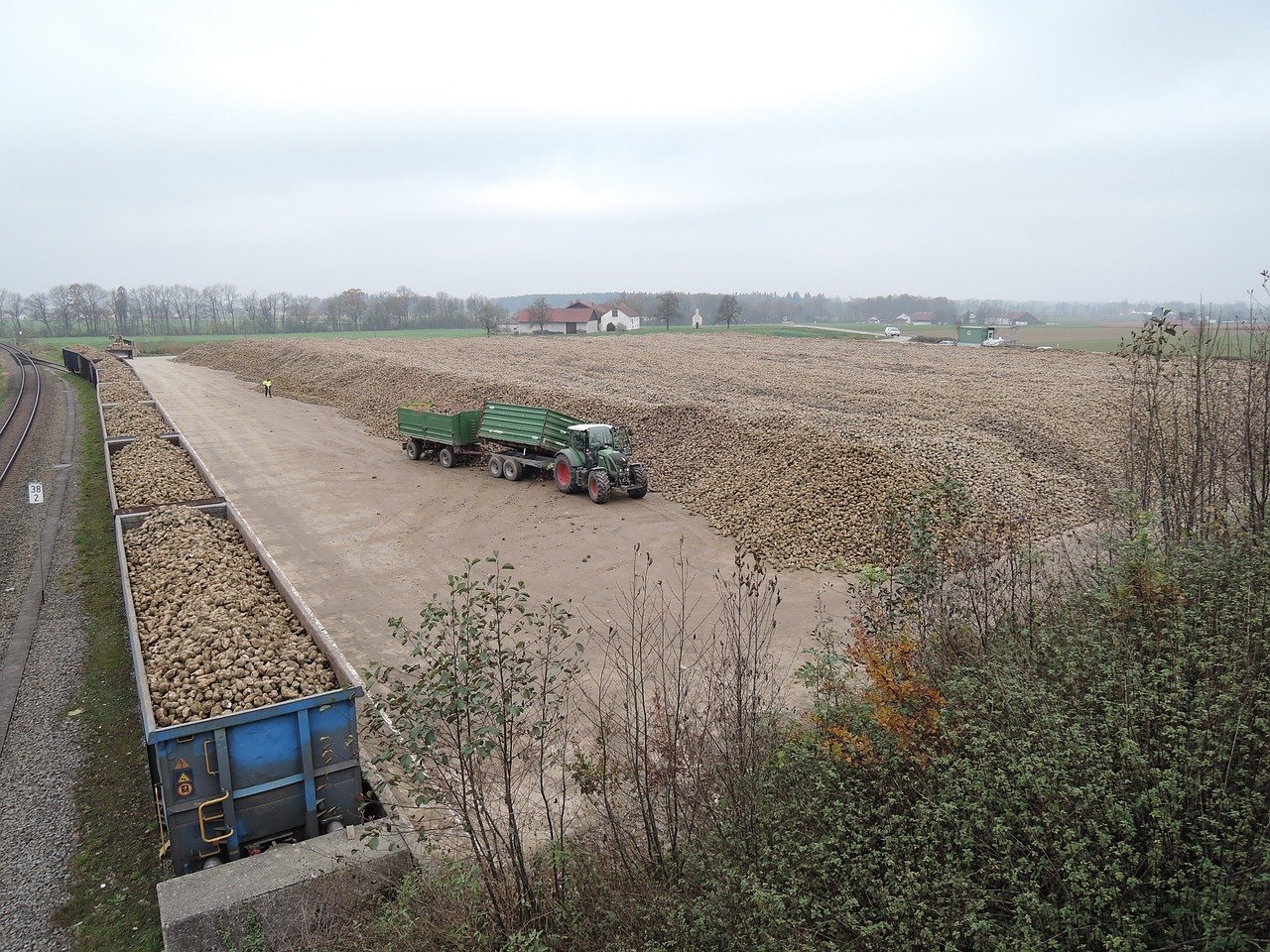 Over 100 Growing Years Of Sweet Michigan Sugar Beet History