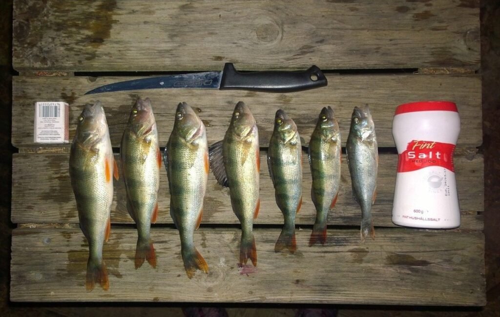 Fish Basics: How To Scale And Clean A Whole Fish Like A Pro