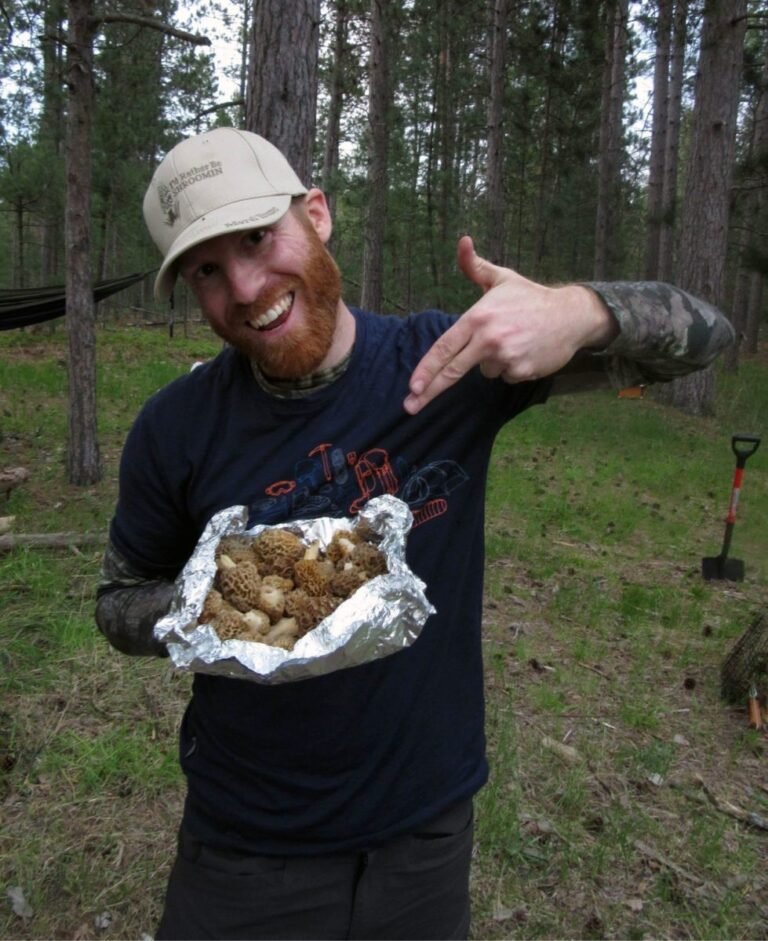Morel Mushroom Madness - Michigan Morel Map Shows Potential Hot Spots ...