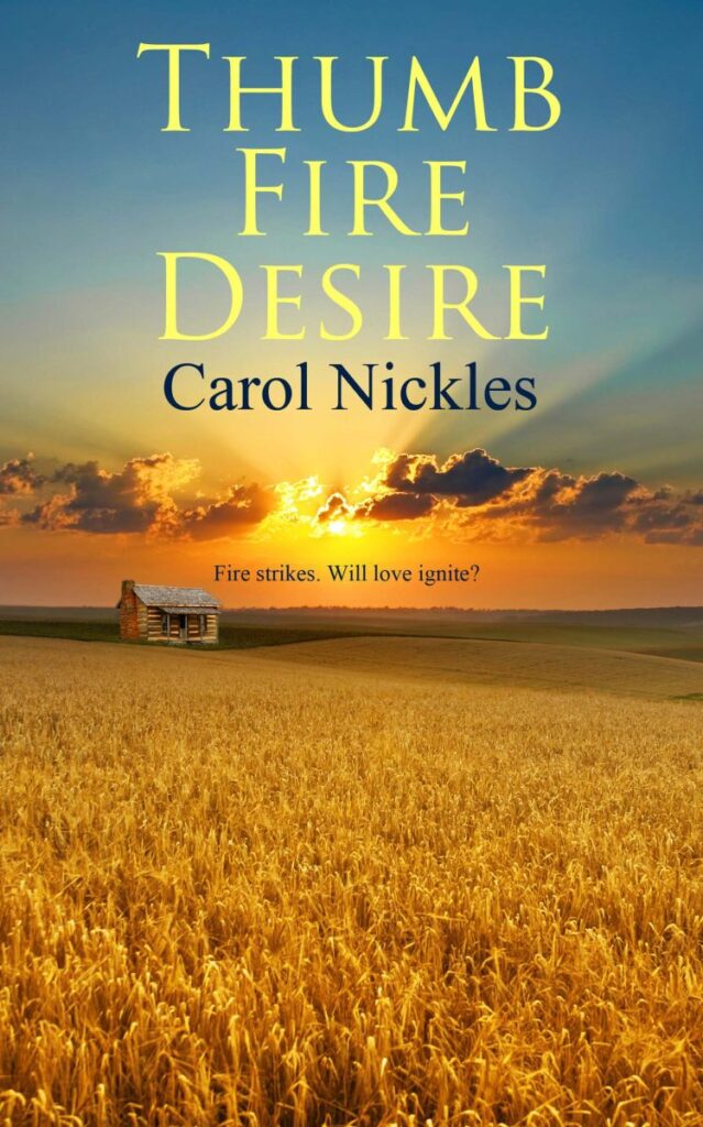 1881 Great Michigan Thumb Fire Is The Setting For Author's Debut Novel