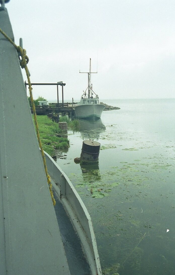 Bay Port Fish Co. In 1996 - A Retrospective
