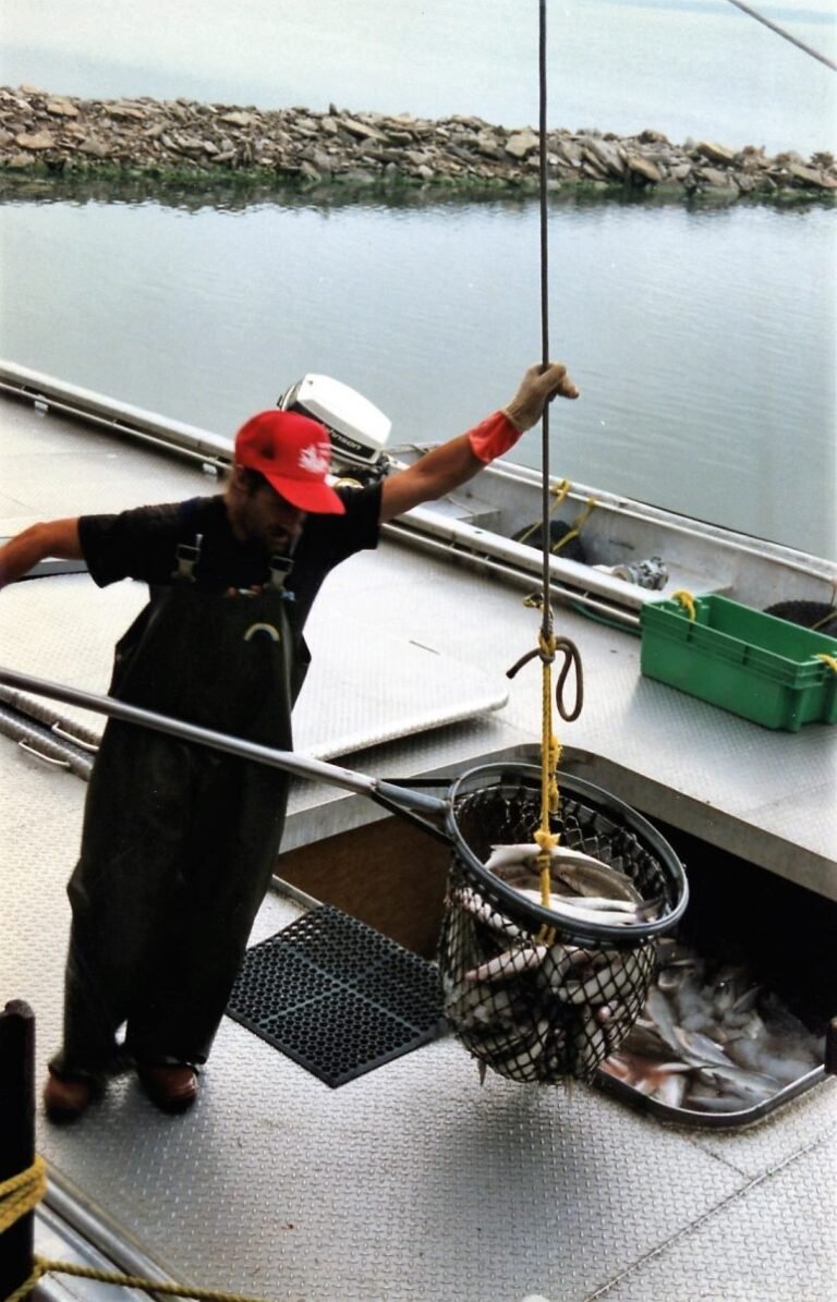 Bay Port Fish Co. In 1996 - A Retrospective