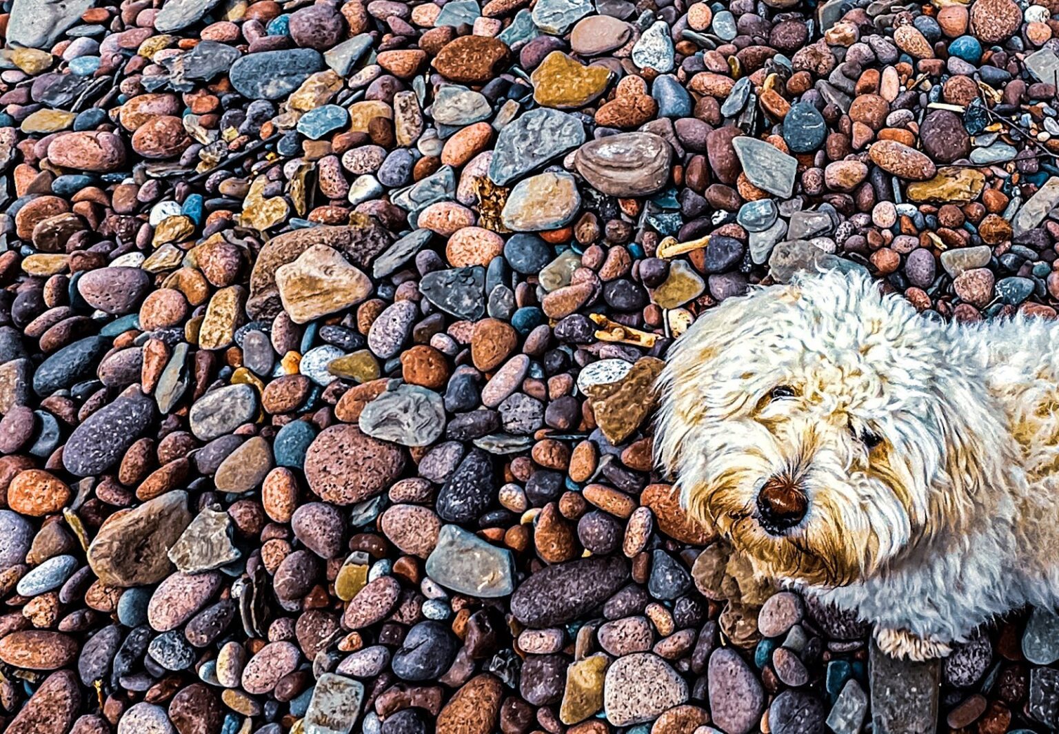 5 Top Rock Hunting Beaches In Michigan - An Awesome Rock Hounds Guide