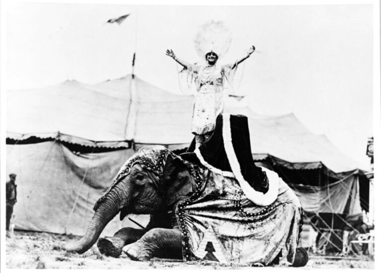 Remembering The Magic Of Circus Parades In Michigan In The Early 1900s