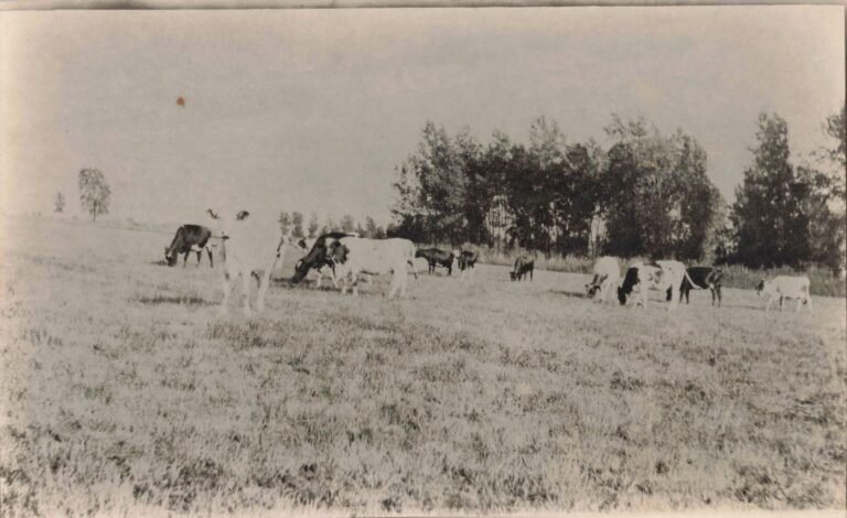 The History Of Munger Michigan - A Growing Farming Village On The Rails ...