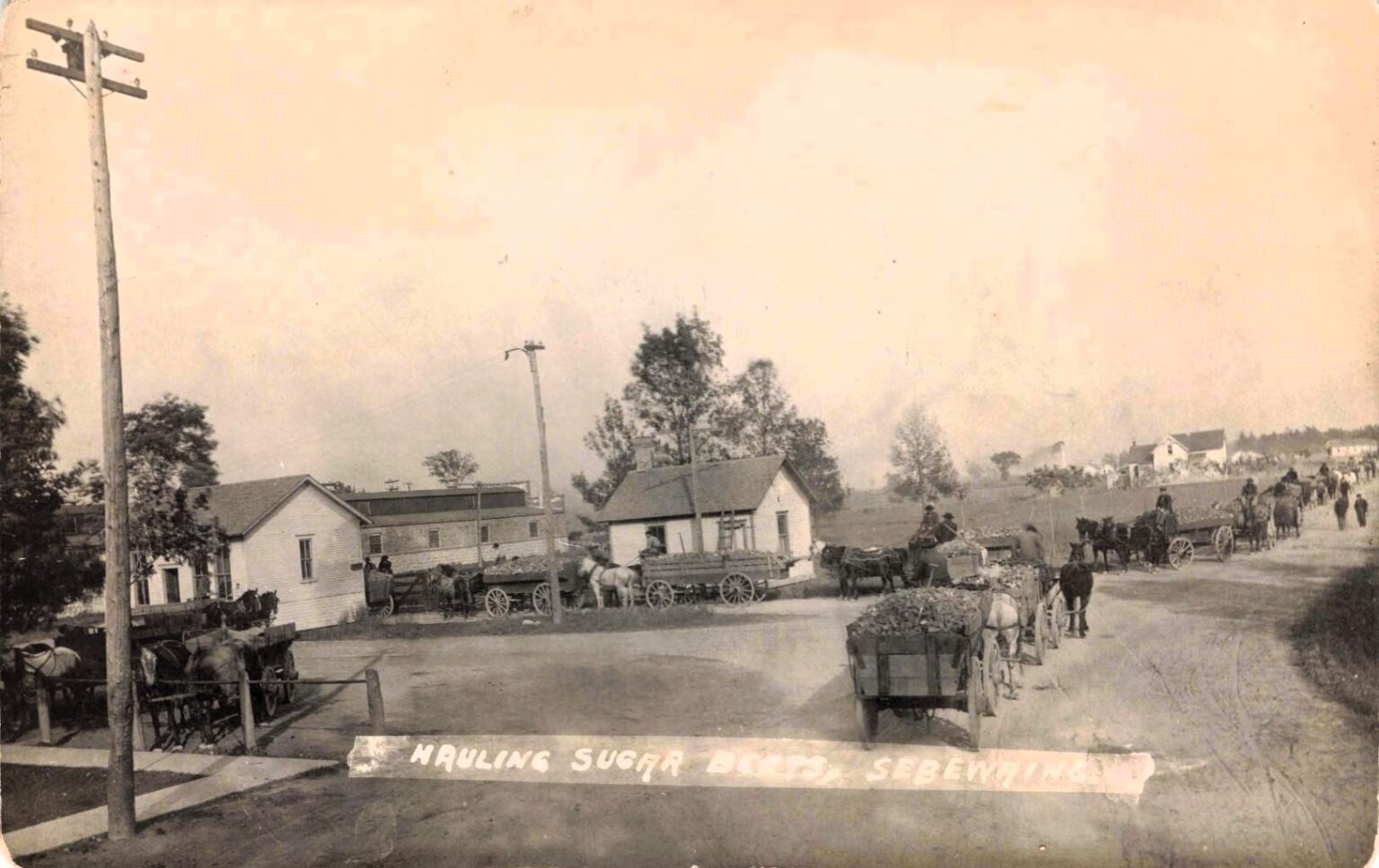 History Of Berne Michigan - A 1900 Snapshot Of This Forgotten Ghost Town